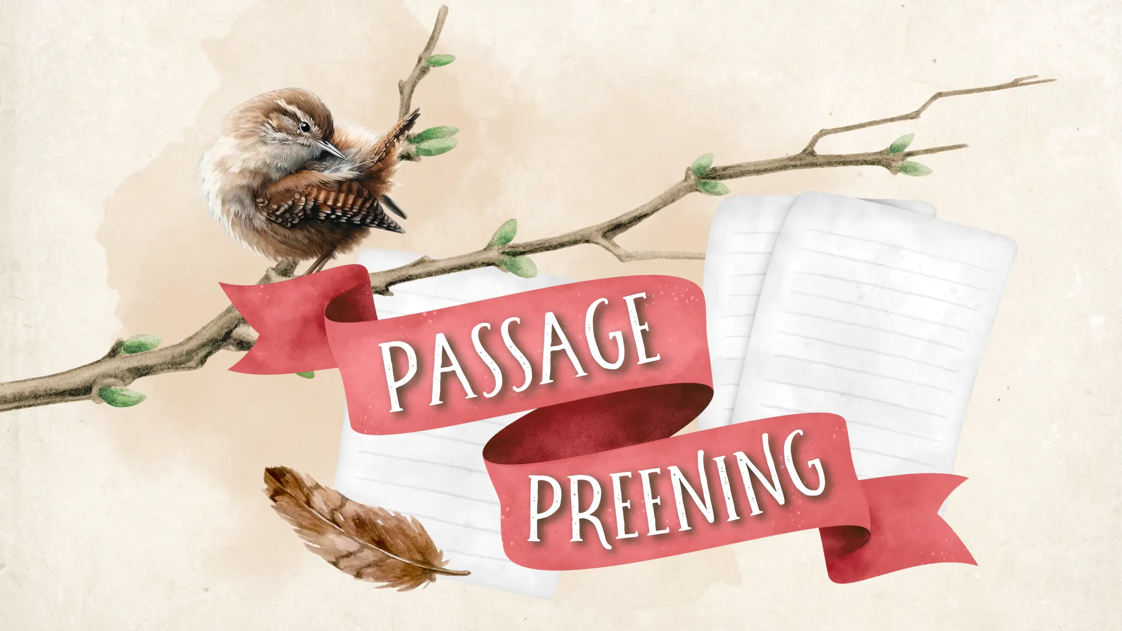Passage Preening - MRO Creative